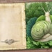 Snail Junk Journal Kit printable JPG Pages With Ephemera, Tags, Fussy ...