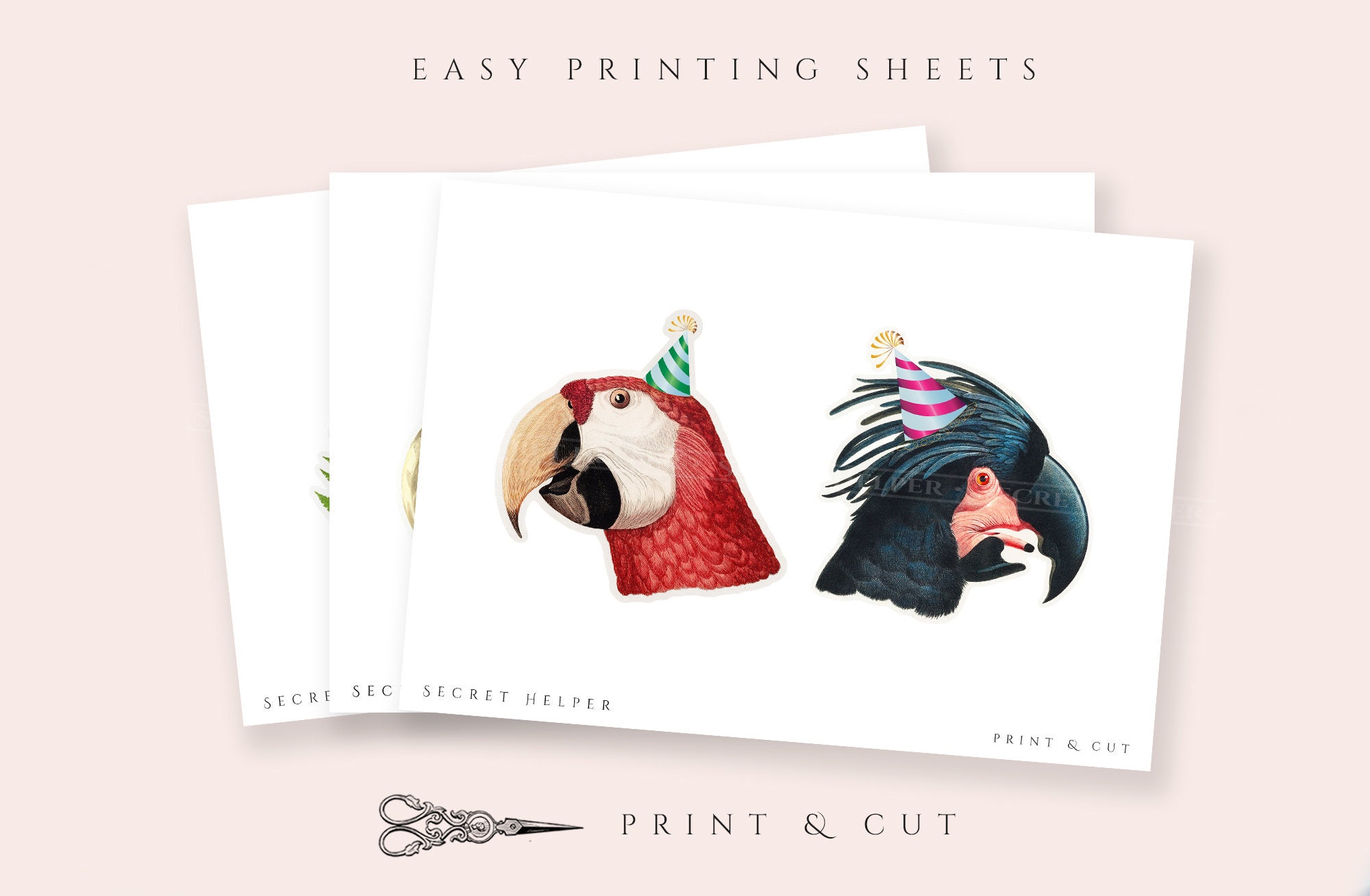 Printable Parrot Cake Topper (in JPG), Animals With Hat Cake Topper ...