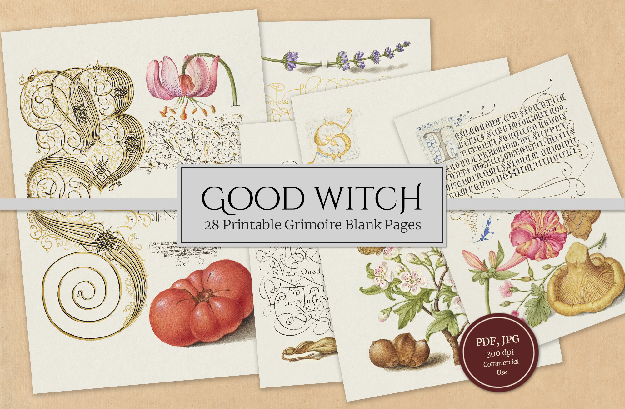 All the Spellbook Pages 160 Illustrated Pages in PDF JPG - Etsy