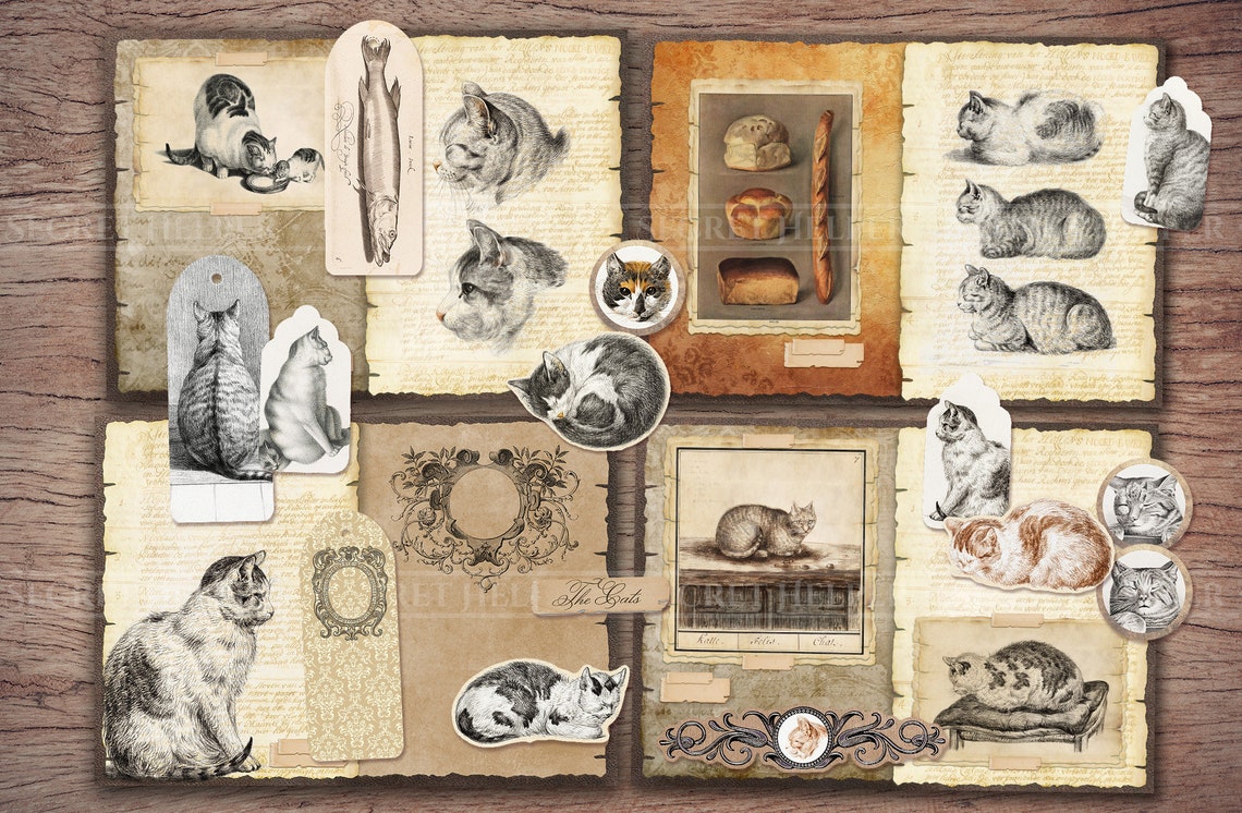 Cats Junk Journal Kit printable JPG Pages With Ephemera - Etsy