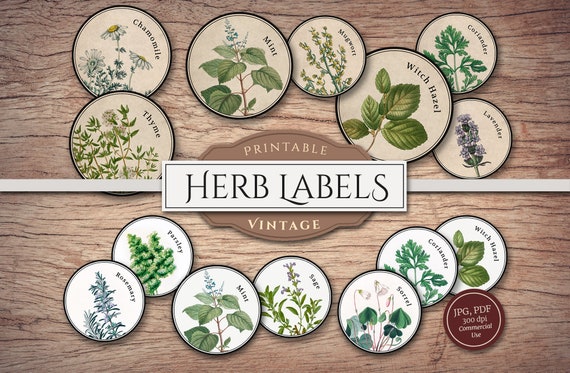 Printable Herb Labels PNG & PDF Sheets Green Witch - Etsy