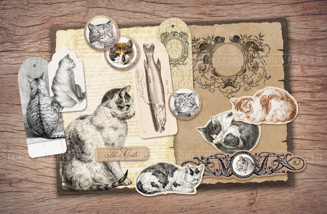 Cats Junk Journal Kit printable JPG Pages With Ephemera - Etsy