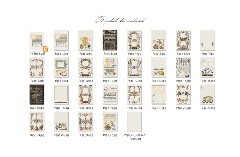 Printable Book of Shadows: Vintage Grimoire Spellbook Pages (digital ...