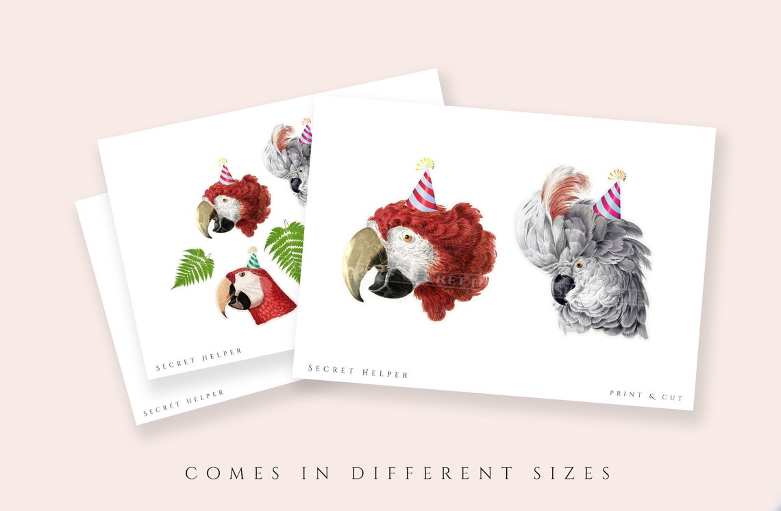 Printable Parrot Cake Topper (in JPG), Animals With Hat Cake Topper ...