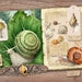 Snail Junk Journal Kit printable JPG Pages With Ephemera, Tags, Fussy ...