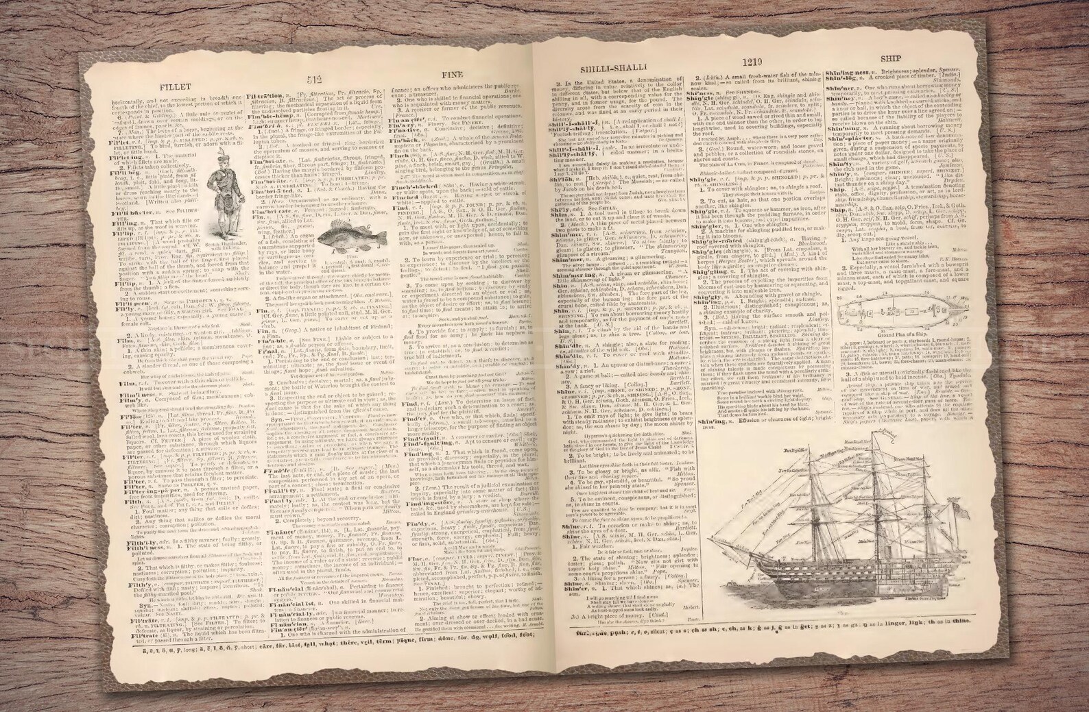 Old Dictionary Pages (printable JPG), Vintage Aged Digital Paper, Word ...