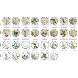 Printable Herb Labels (PNG & PDF Sheets), Green Witch Ephemera ...
