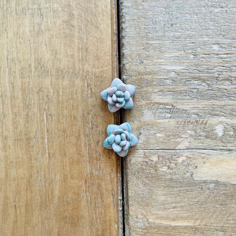 Mini Succulent Studs L Summer Desert Sun Cactus Collection L ...