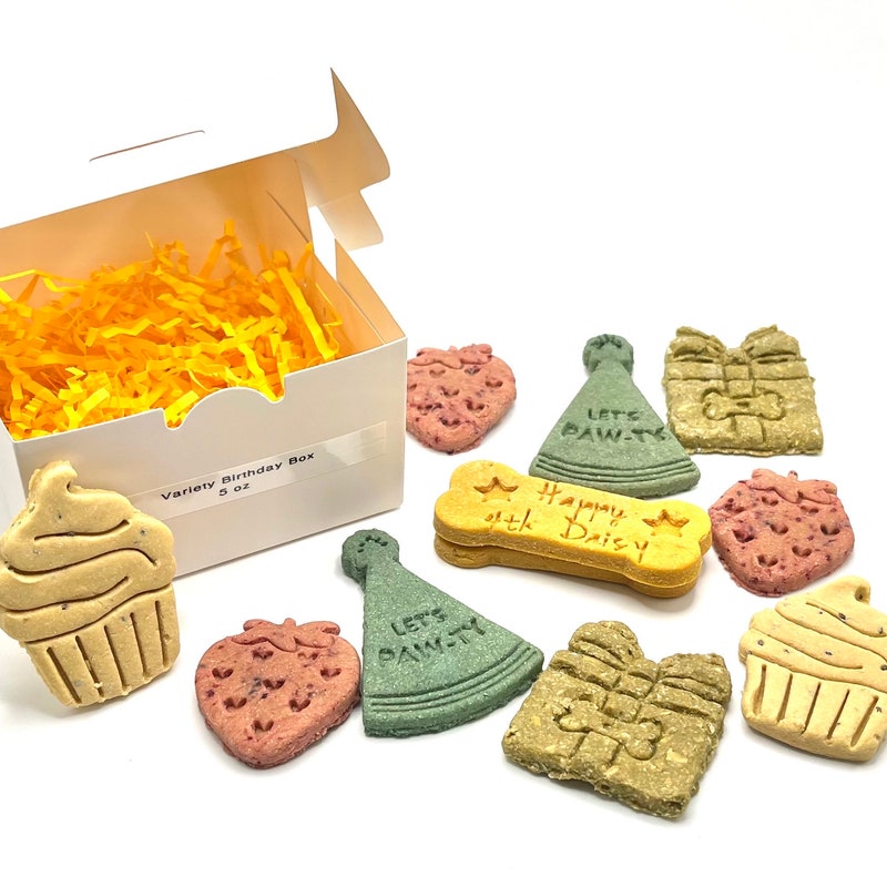 Custom Chia Pets - Etsy