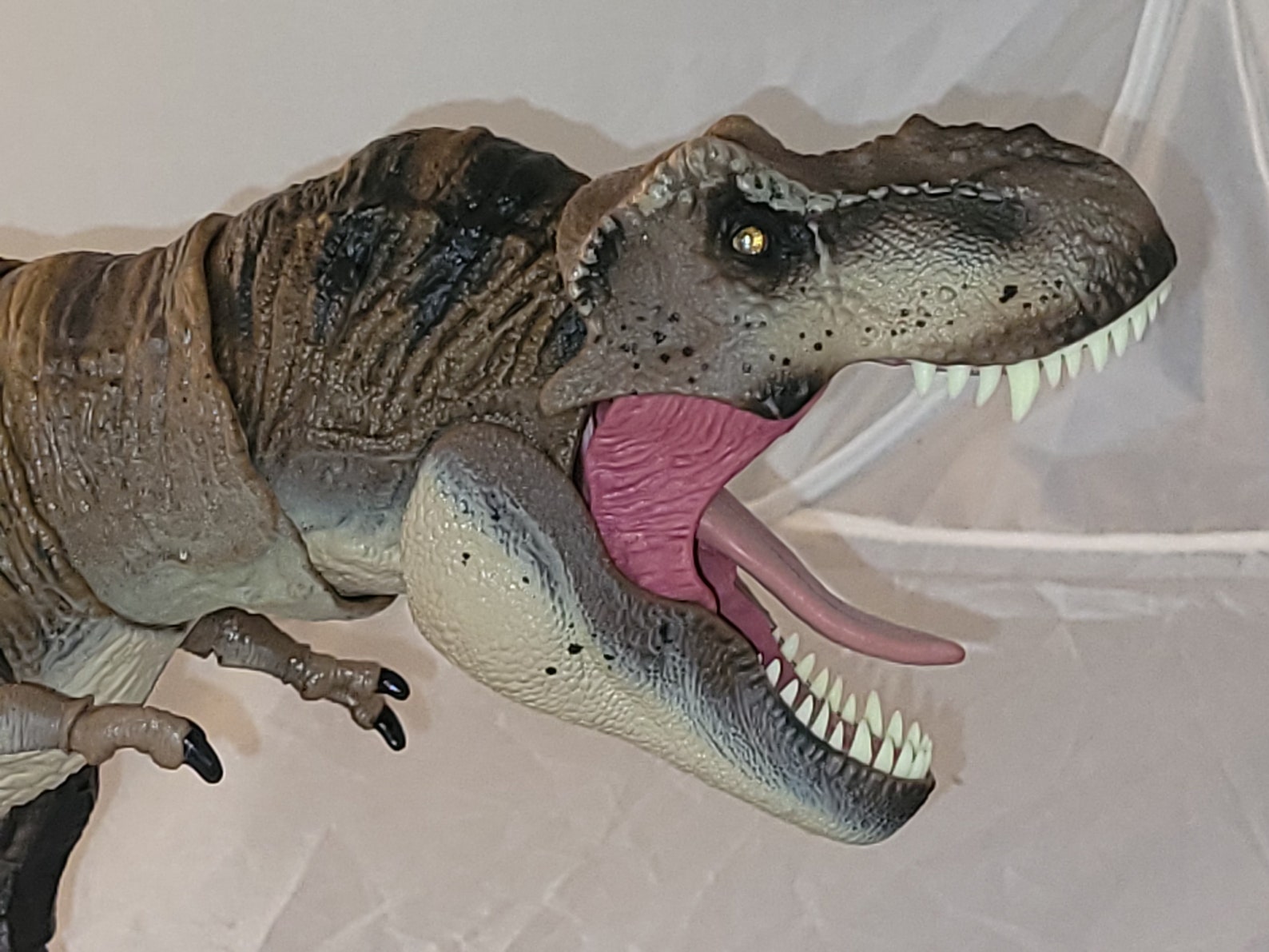 Rod's Random HC T Rex Teeth - Etsy