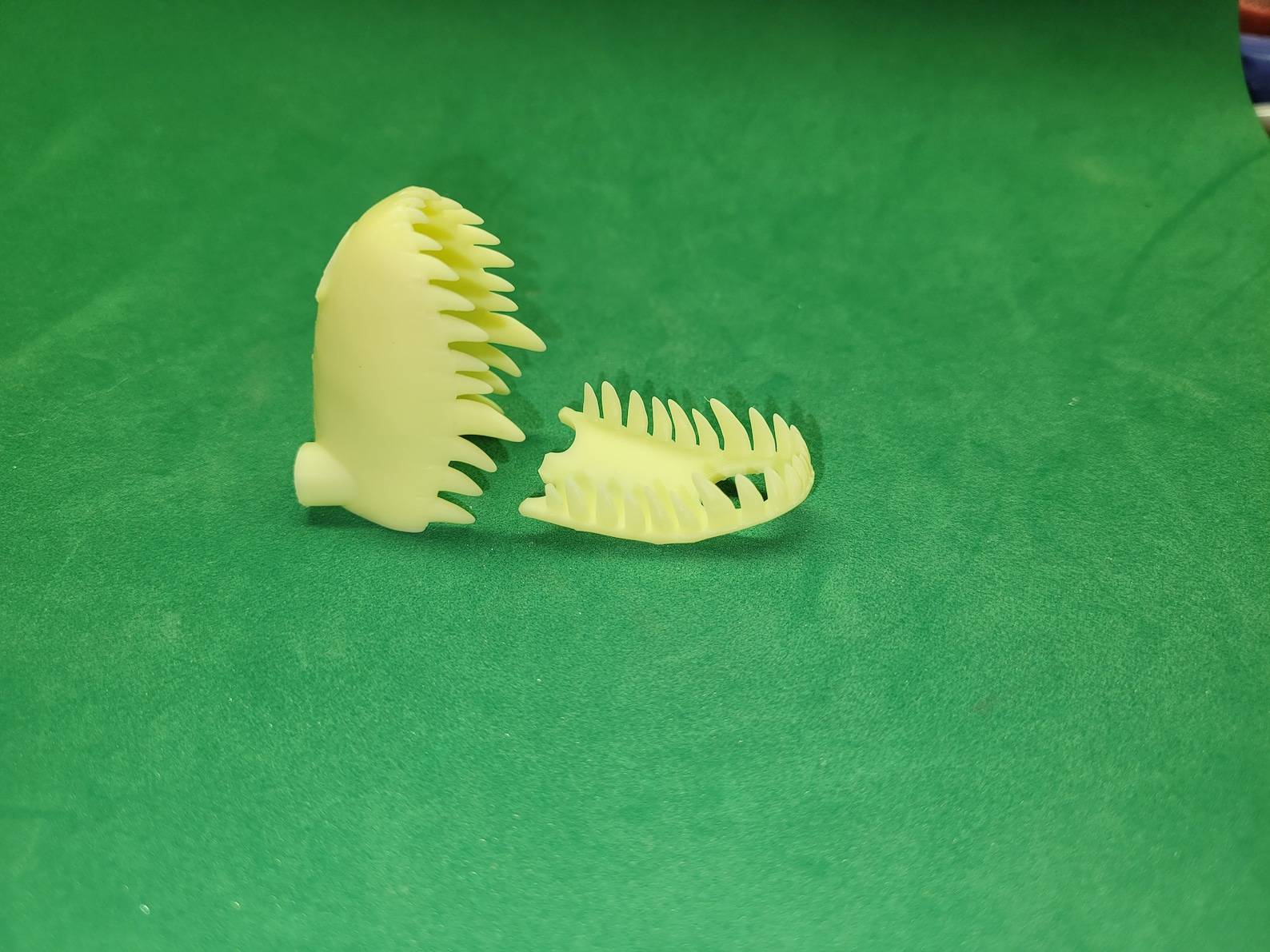 Rod's Random HC T Rex Teeth - Etsy