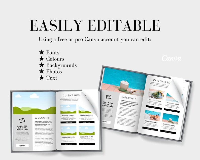 Freebie Digital Template Canva Workbook Template Canva Lead - Etsy