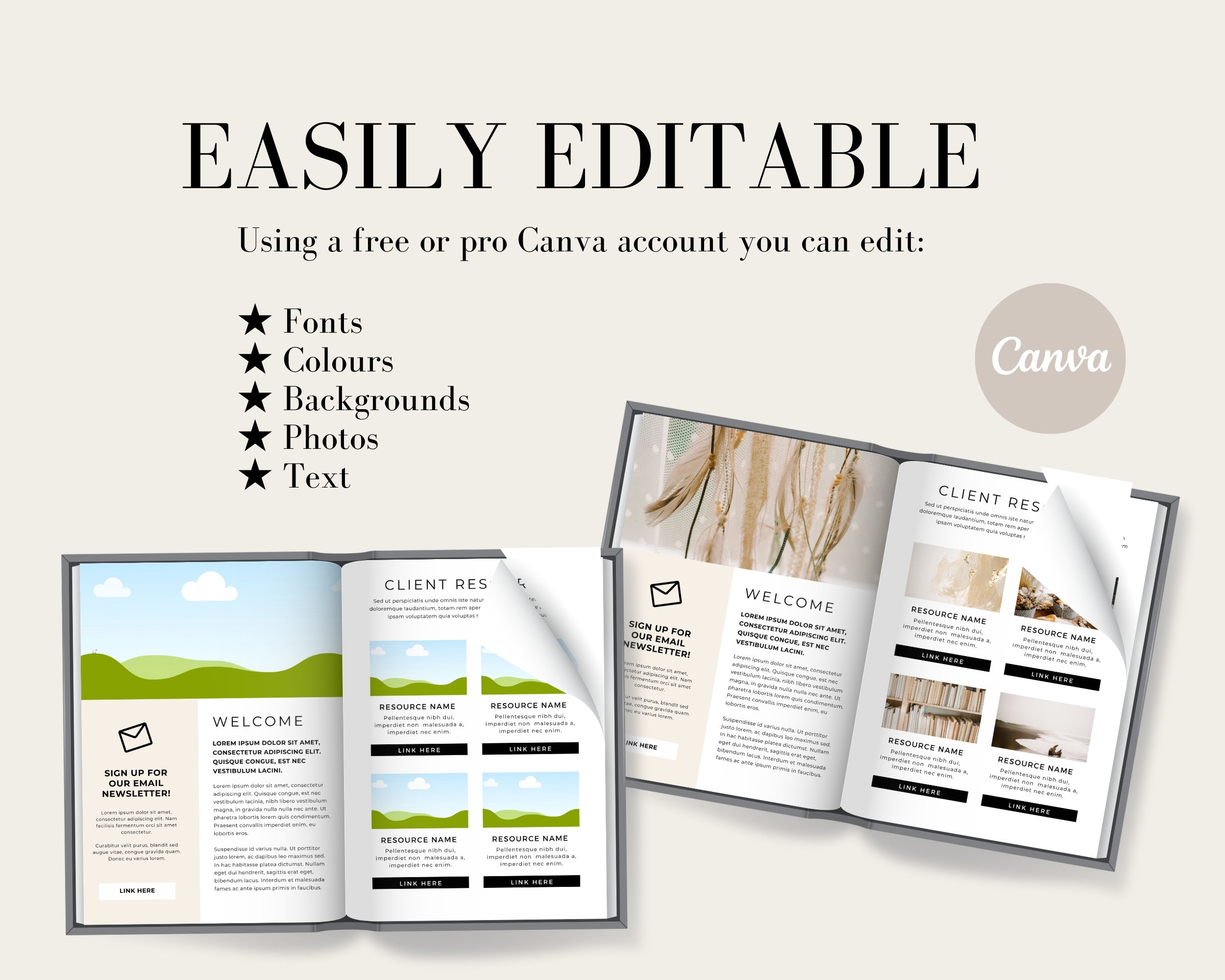 Freebie Digital Template Canva Workbook Template Canva Lead - Etsy