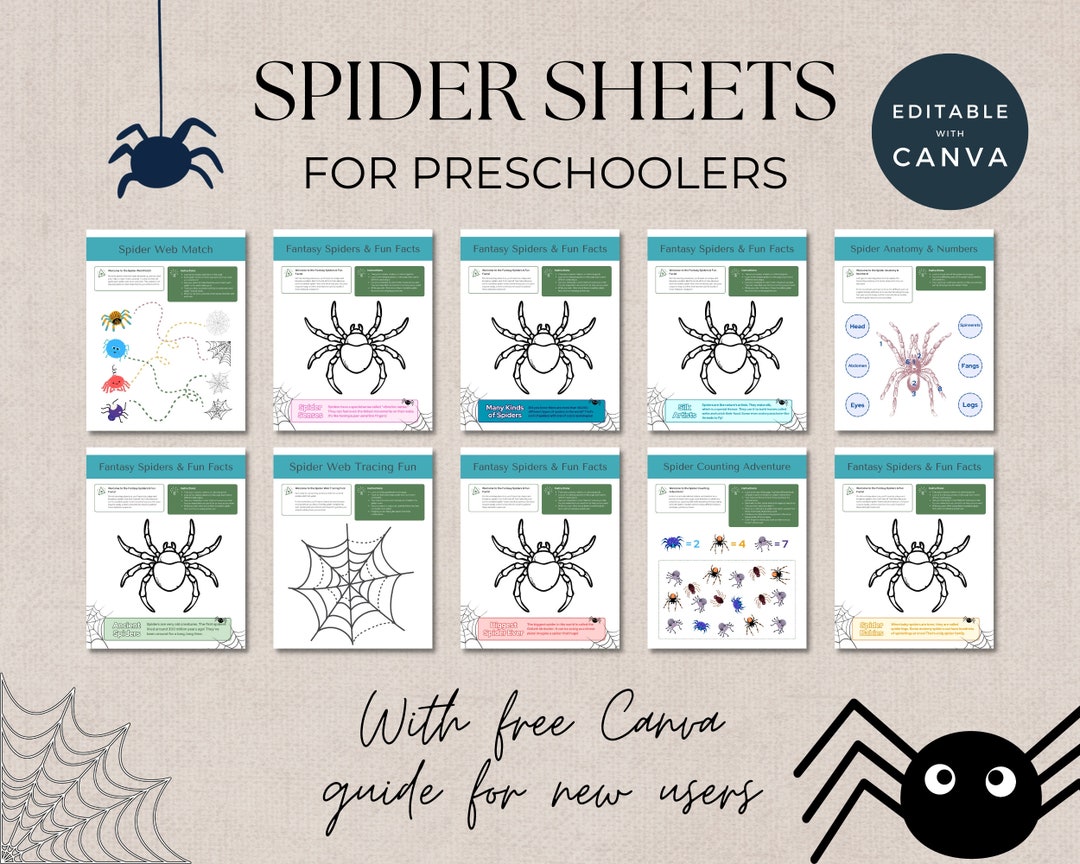 Spider Activity Work Sheets for Preschoolers, Halloween Craft ...