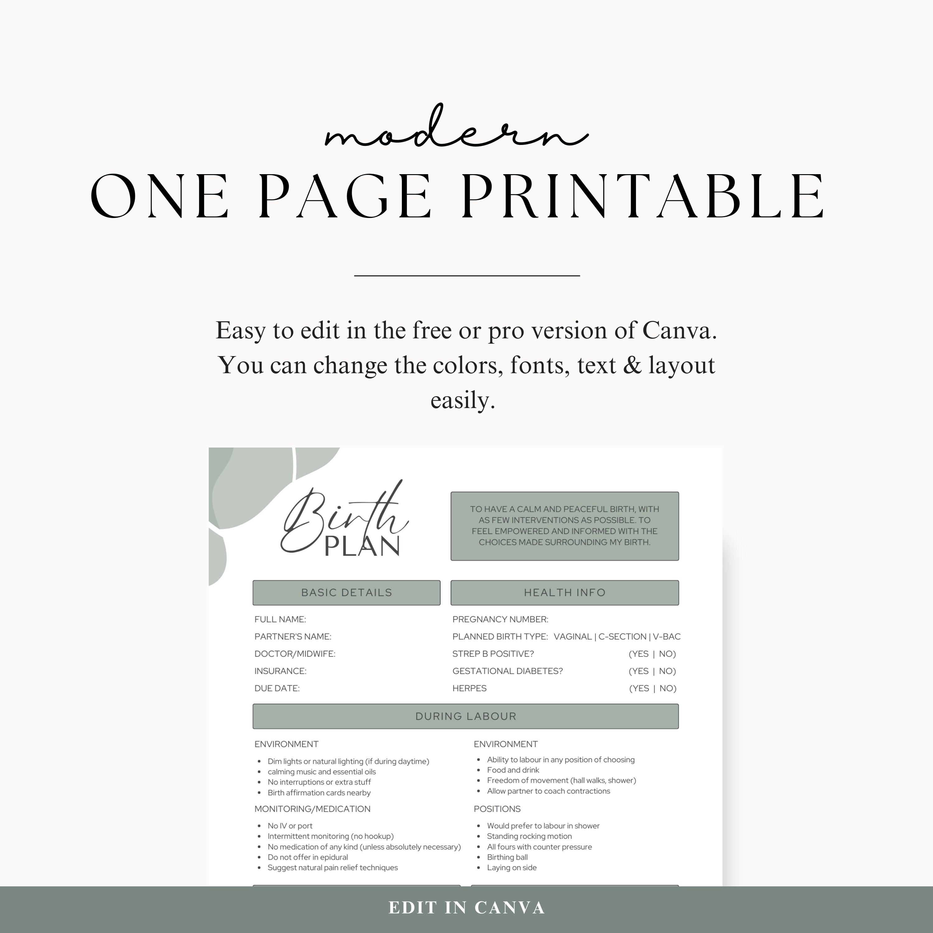 One Page Birthing Plan Template | Instant Download | Editable Canva ...