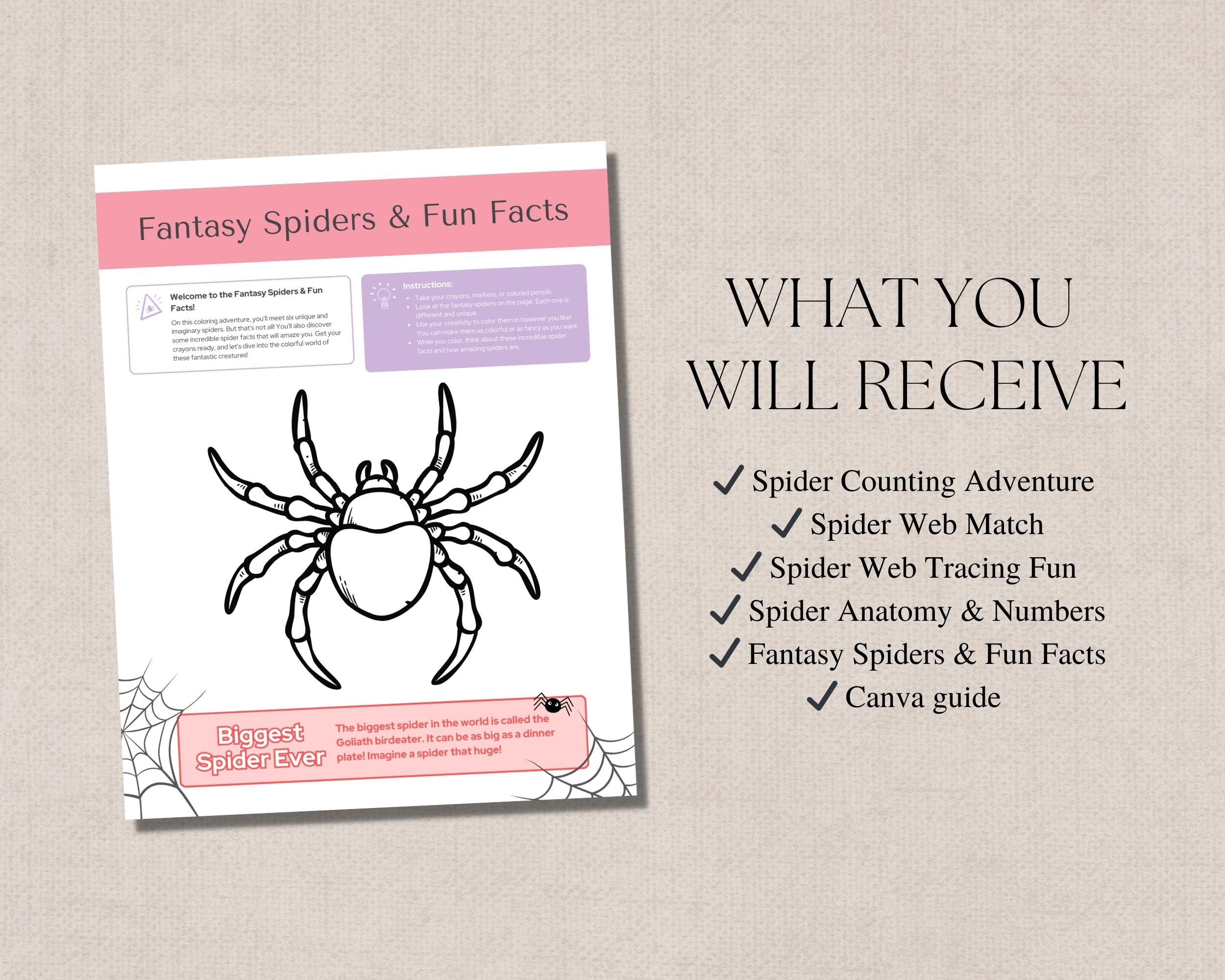 Spider Activity Work Sheets for Preschoolers, Halloween Craft ...