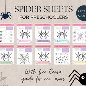 Spider Activity Work Sheets for Preschoolers, Halloween Craft ...