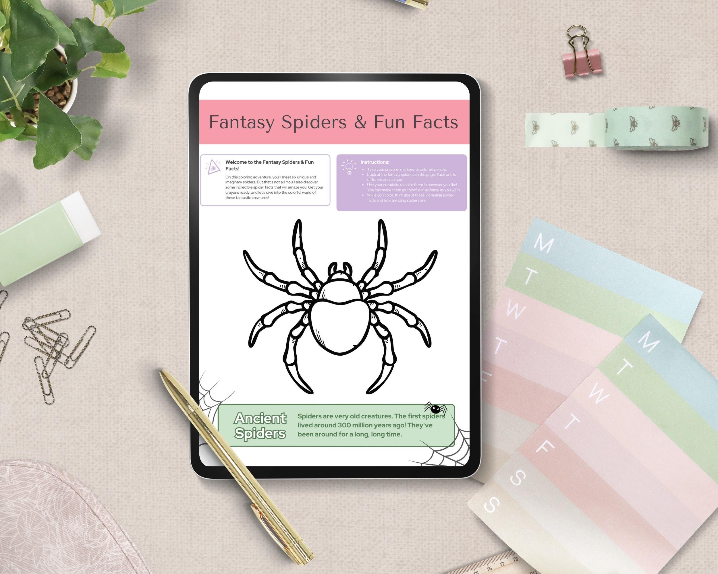 Spider Activity Work Sheets for Preschoolers, Halloween Craft ...