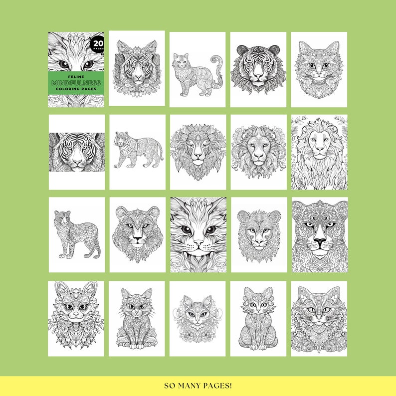 Big Cat Coloring Pages Feline Art Pages Kitten and Cat - Etsy