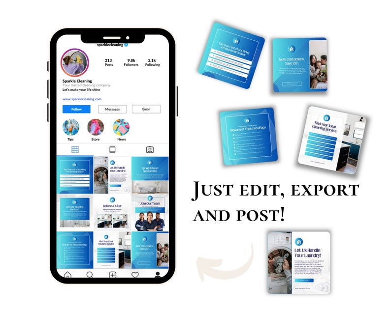 Professional Cleaning Company Instagram Templates, Social Media Posts ...