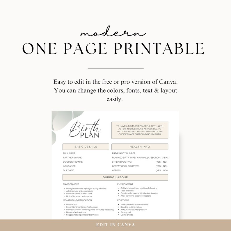 Birthing Plan Template Birth Plan Instant Download - Etsy