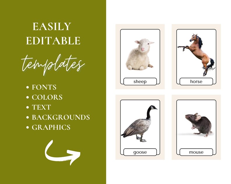 Educational Printable Cards Montessori Cards Homeschool - Etsy
