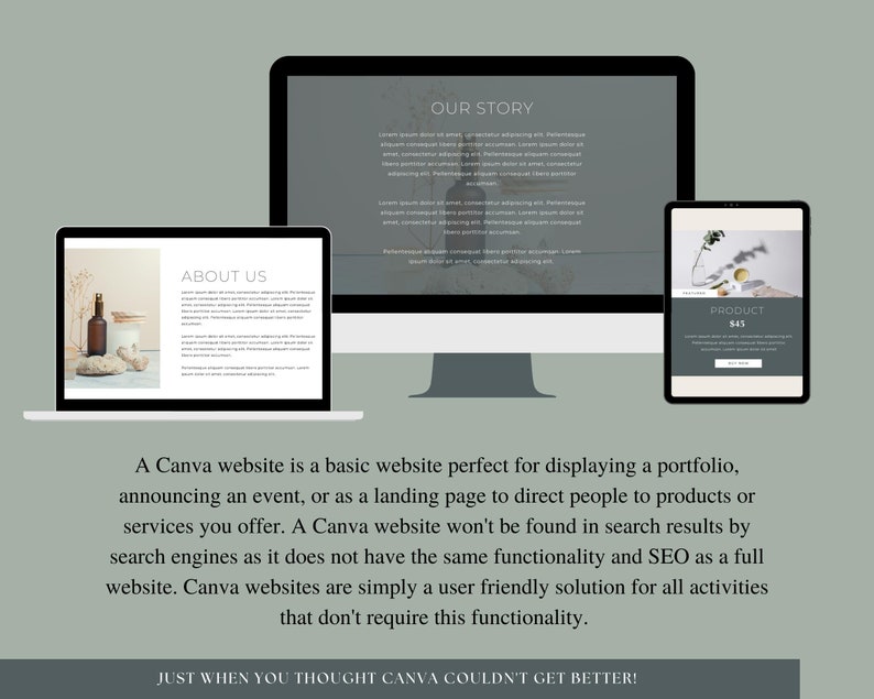 Product Based Canva Template Canva Website Template Canva - Etsy