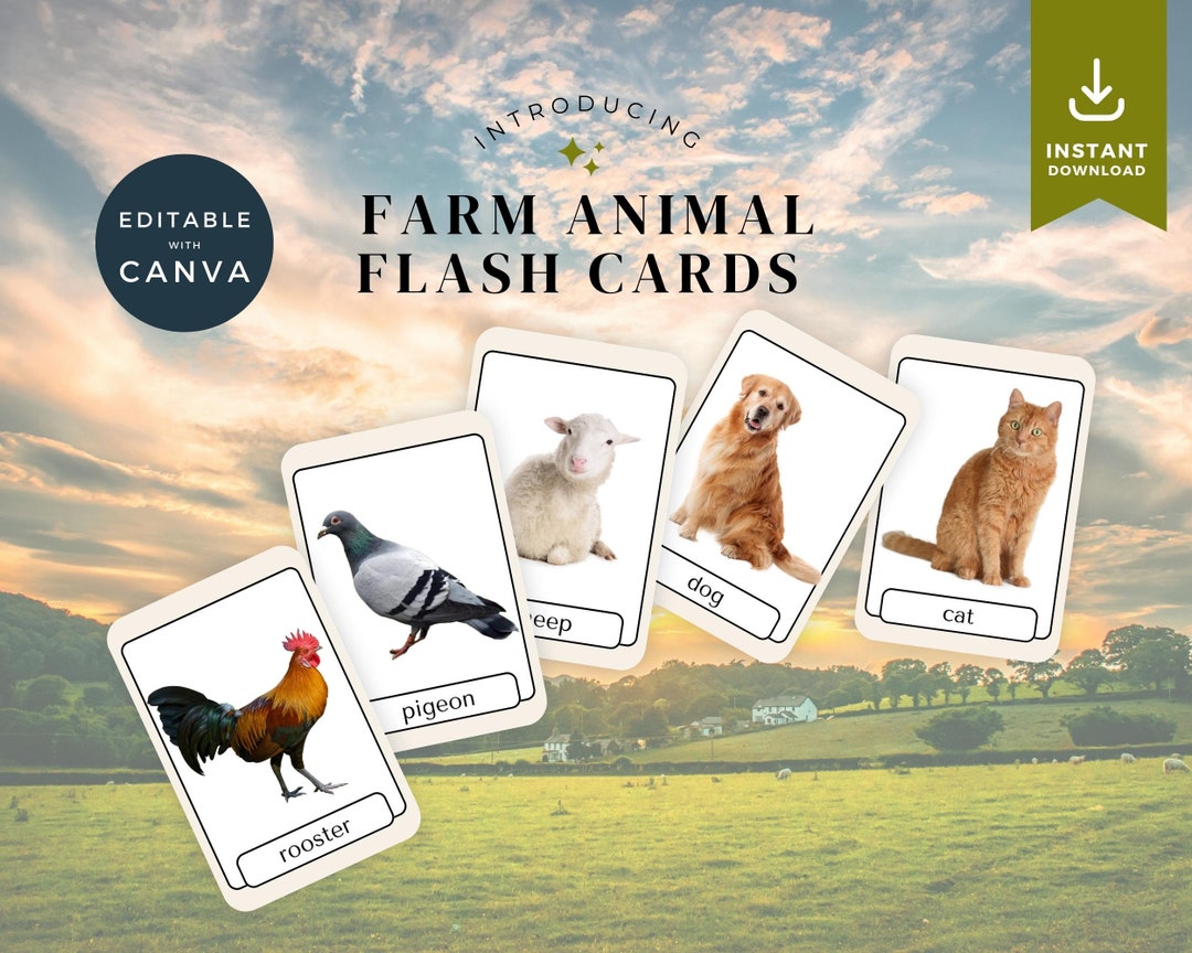 Educational Printable Cards | Montessori Cards | Homeschool Printable ...