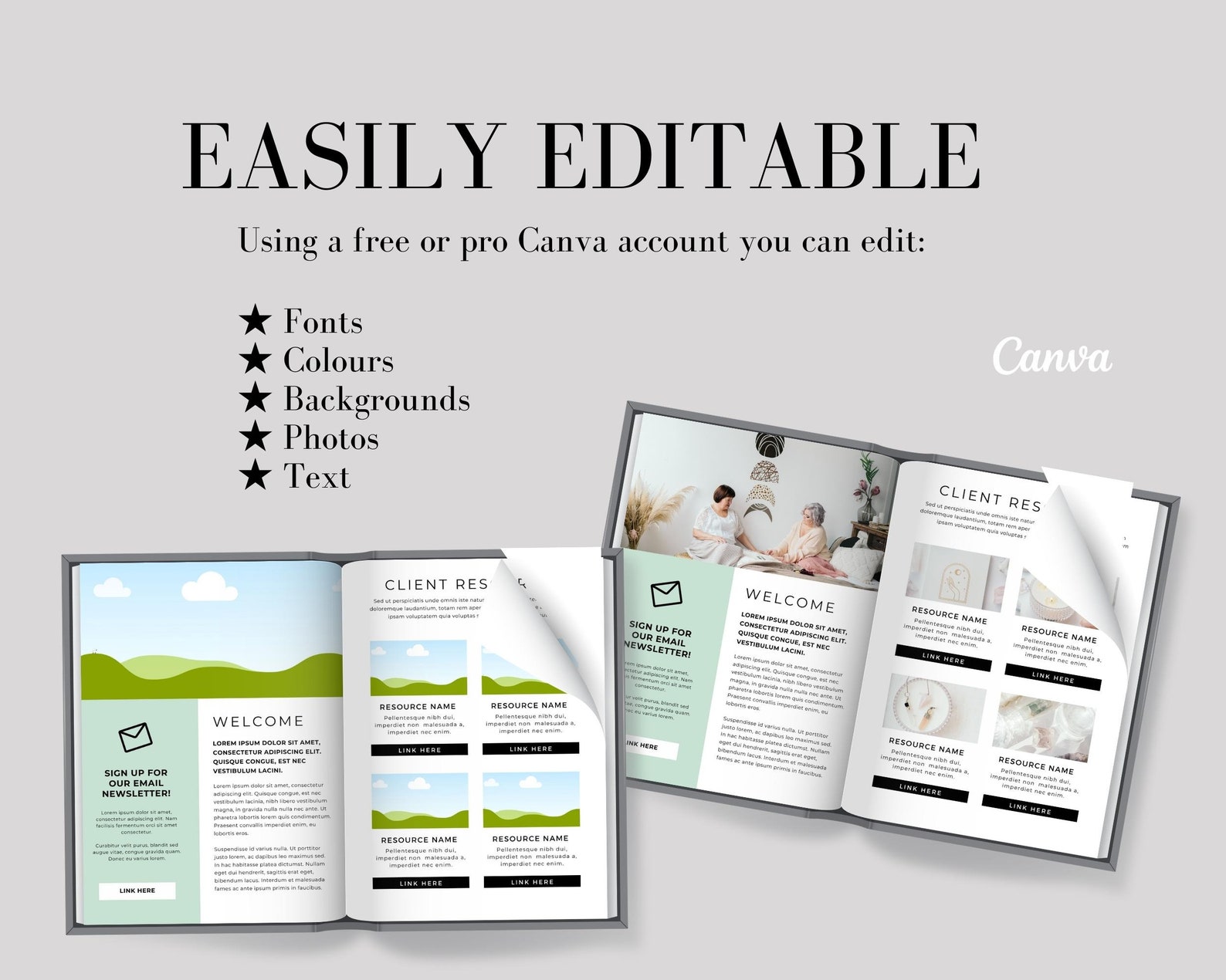 Printable Template Canva Workbook Template Canva Lead Magnet - Etsy