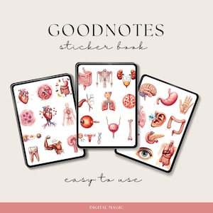 Anatony Digital Planner Stickers, Digital Sticker Book, Goodnotes ...
