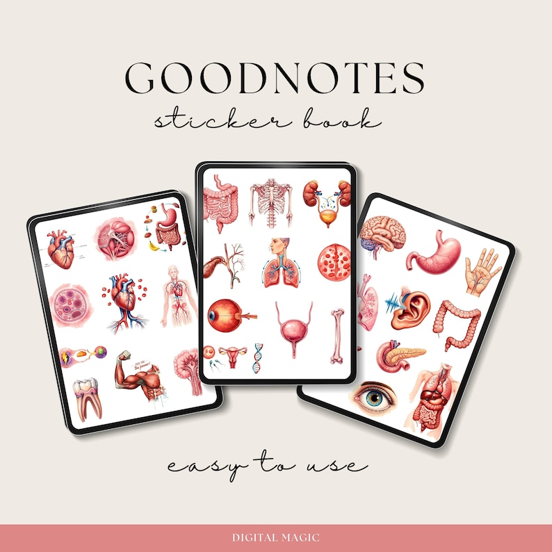 Anatony Digital Planner Stickers, Digital Sticker Book, Goodnotes ...
