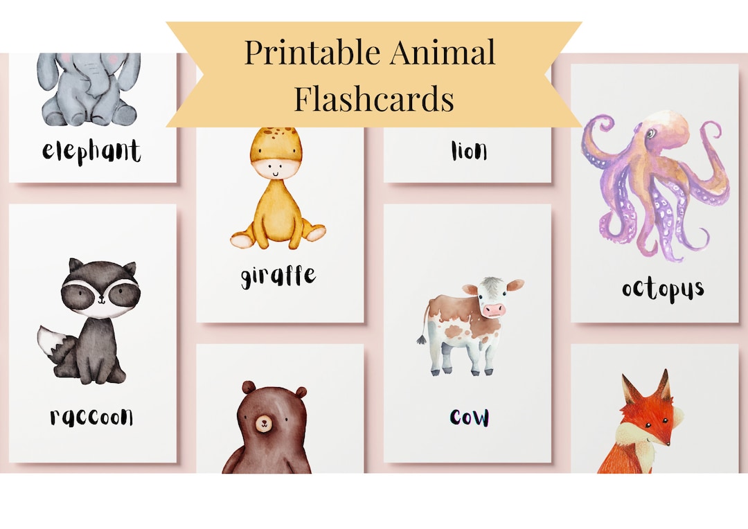 12 Animal Flashcards for Kids - Etsy