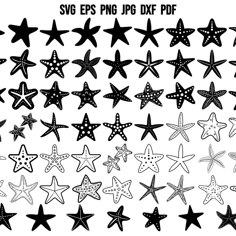 Starfish Svg - Etsy