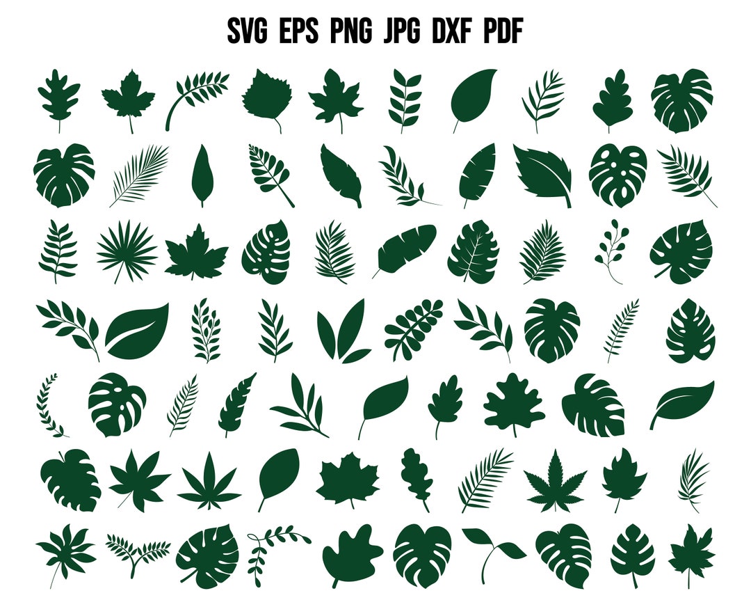 Leaves SVG | Leaf SVG | Tropical Leaves SVG | Leaf Template | Paper ...