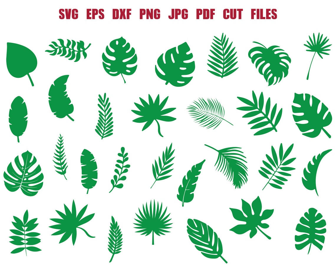 Tropical Leaves Svg Leaves Svg Leaf Svg Leaves Bundle Svg Palm | Etsy
