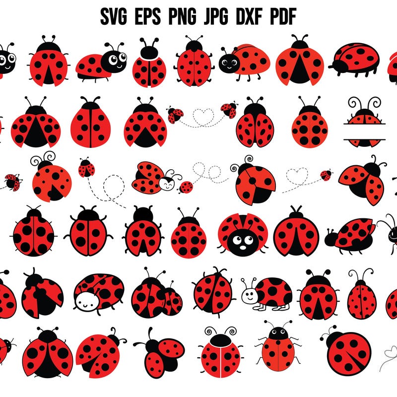 Ladybug Svg - Etsy