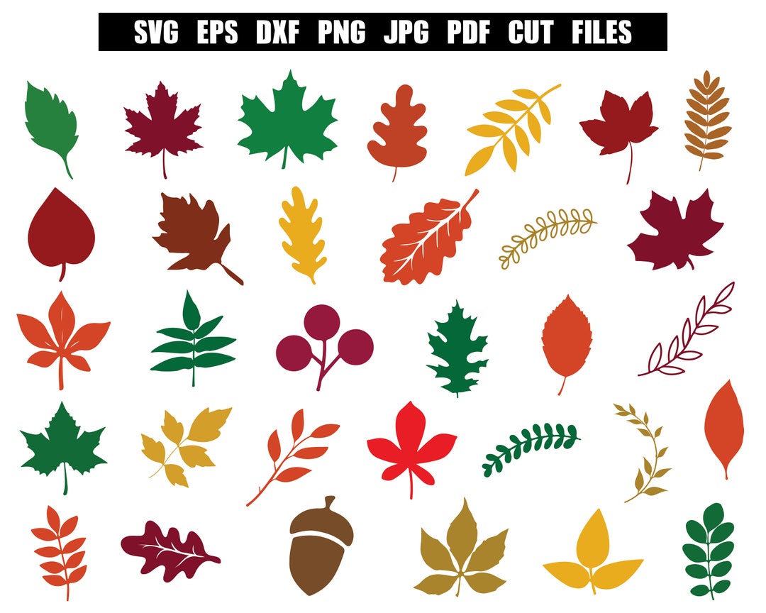 Fall Leaves SVG Fall SVG Fall Silhouette Thanksgiving SVG Leaf Svg ...