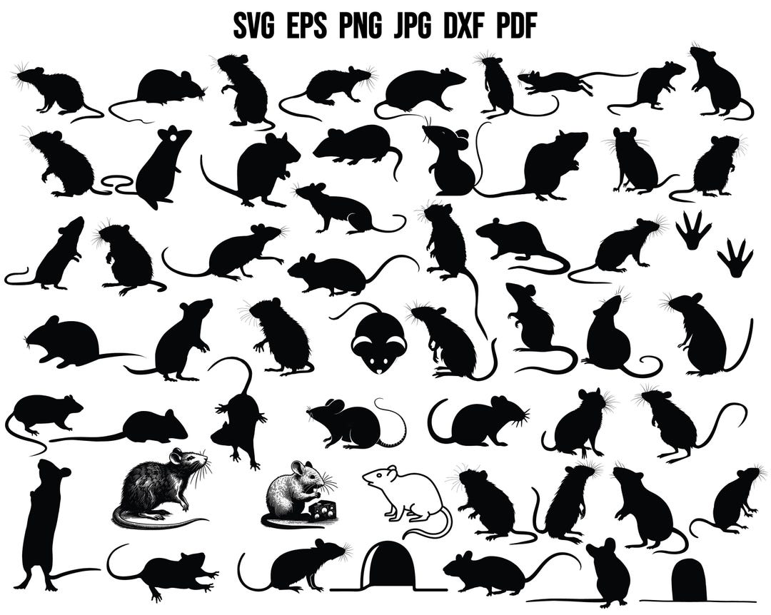 Rat Silhouette | Rat SVG | Animal SVG | Animal Silhouette | Mouse Svg ...