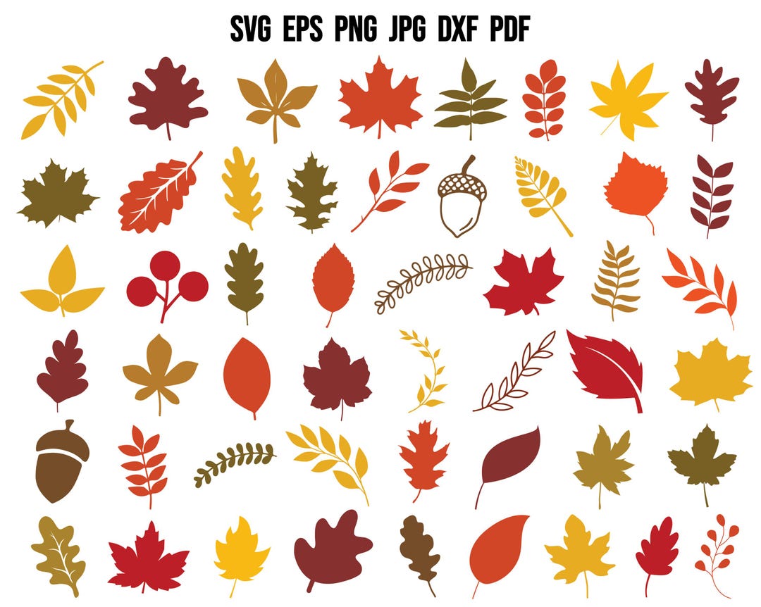 Fall Leaves SVG | Fall SVG | Fall Clipart | Autumn SVG | Leaves Svg ...