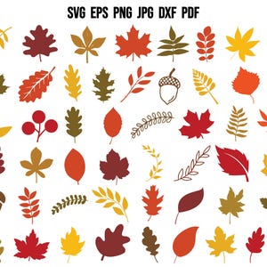 Fall Leaves SVG | Fall SVG | Fall Clipart | Autumn SVG | Leaves Svg ...