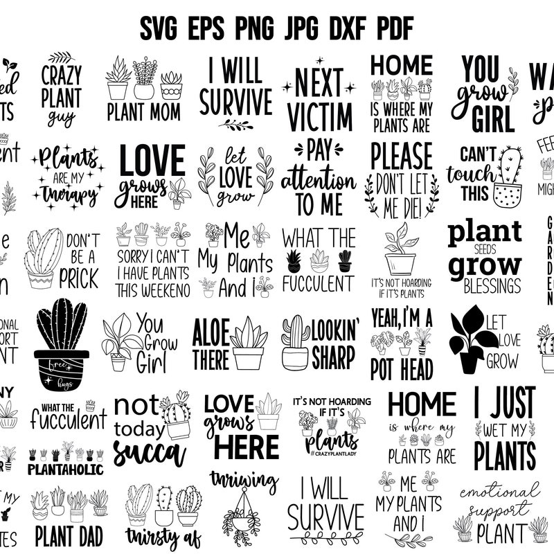 Funny Sayings on Cactus Pots - Etsy UK