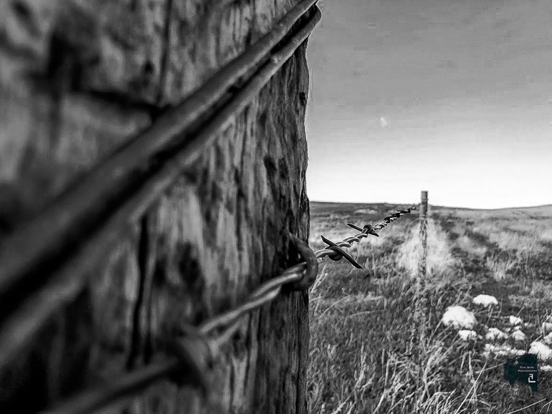 Checking Fences - Etsy