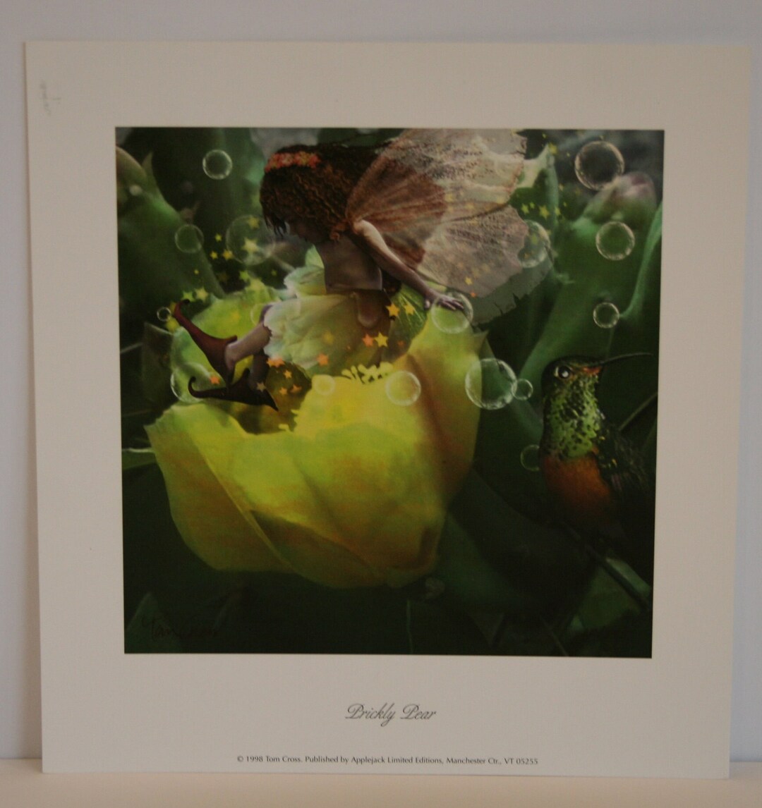 Set of 4 Prints Tom Cross LE Fairies - Bougainvillea, Morning Glory ...