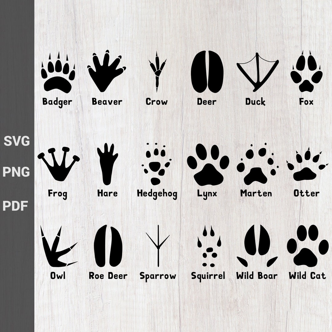 Animal Tracks SVG Paw Prints PNG Clipart for Wildlife - Etsy