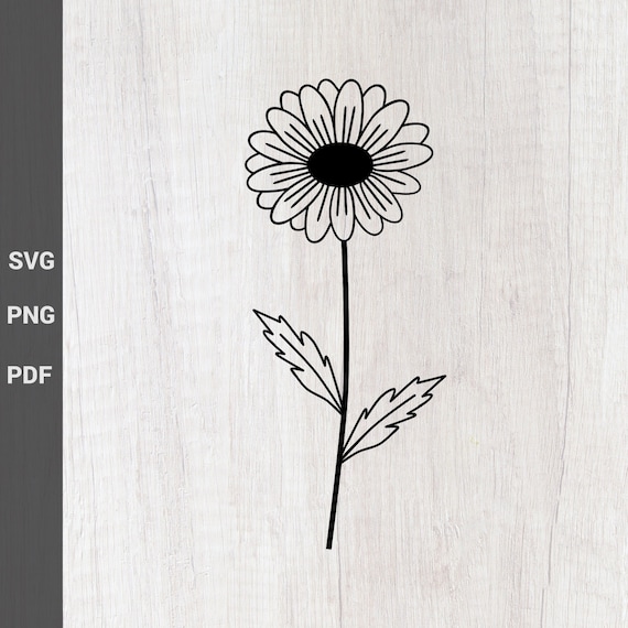 Daisy Clipart Outline