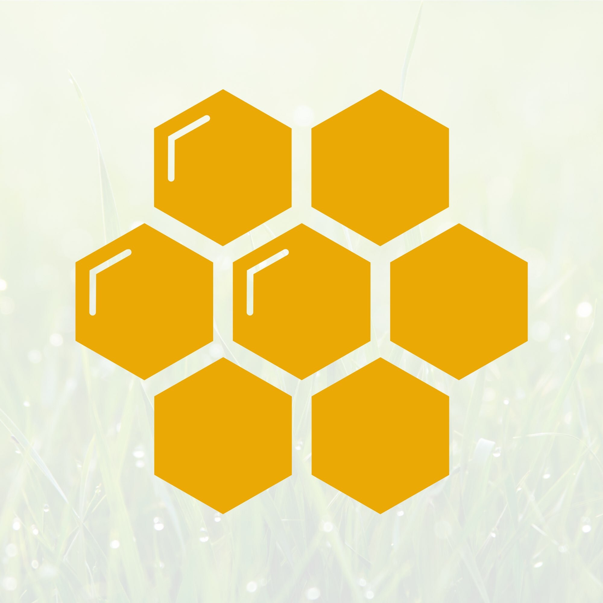 Beekeeper SVG & PNG Pack beehive Bee Honeycomb Honey Pot - Etsy