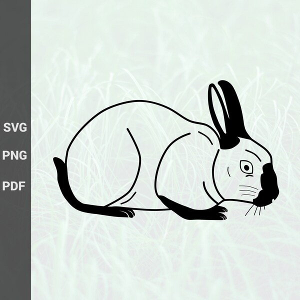 Realistic Rabbit - Etsy