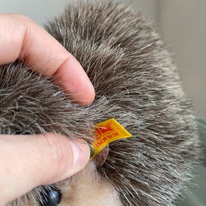 Joggi Hedgehog Plush Animal Vintage Steiff Toy Germany - Etsy