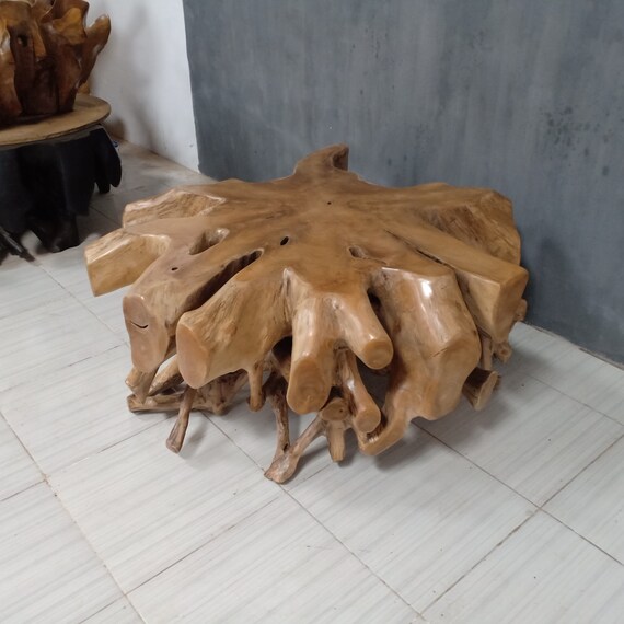 Teak Tree Roots