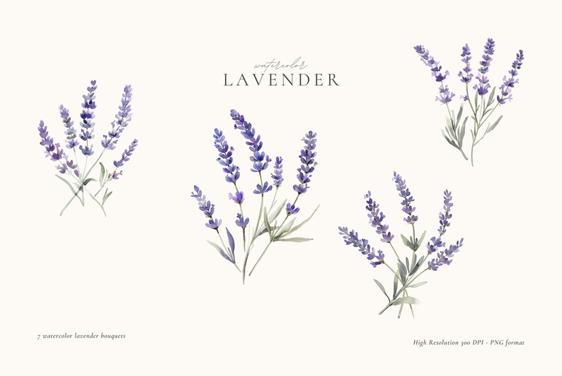 Lavender Watercolor Clipart Set: Bouquets & Wreaths (PNG Digital ...